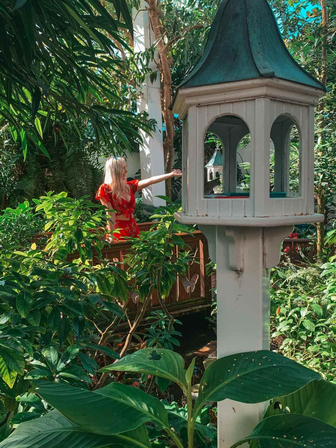 10 Unique Things to Do in Key West, Florida