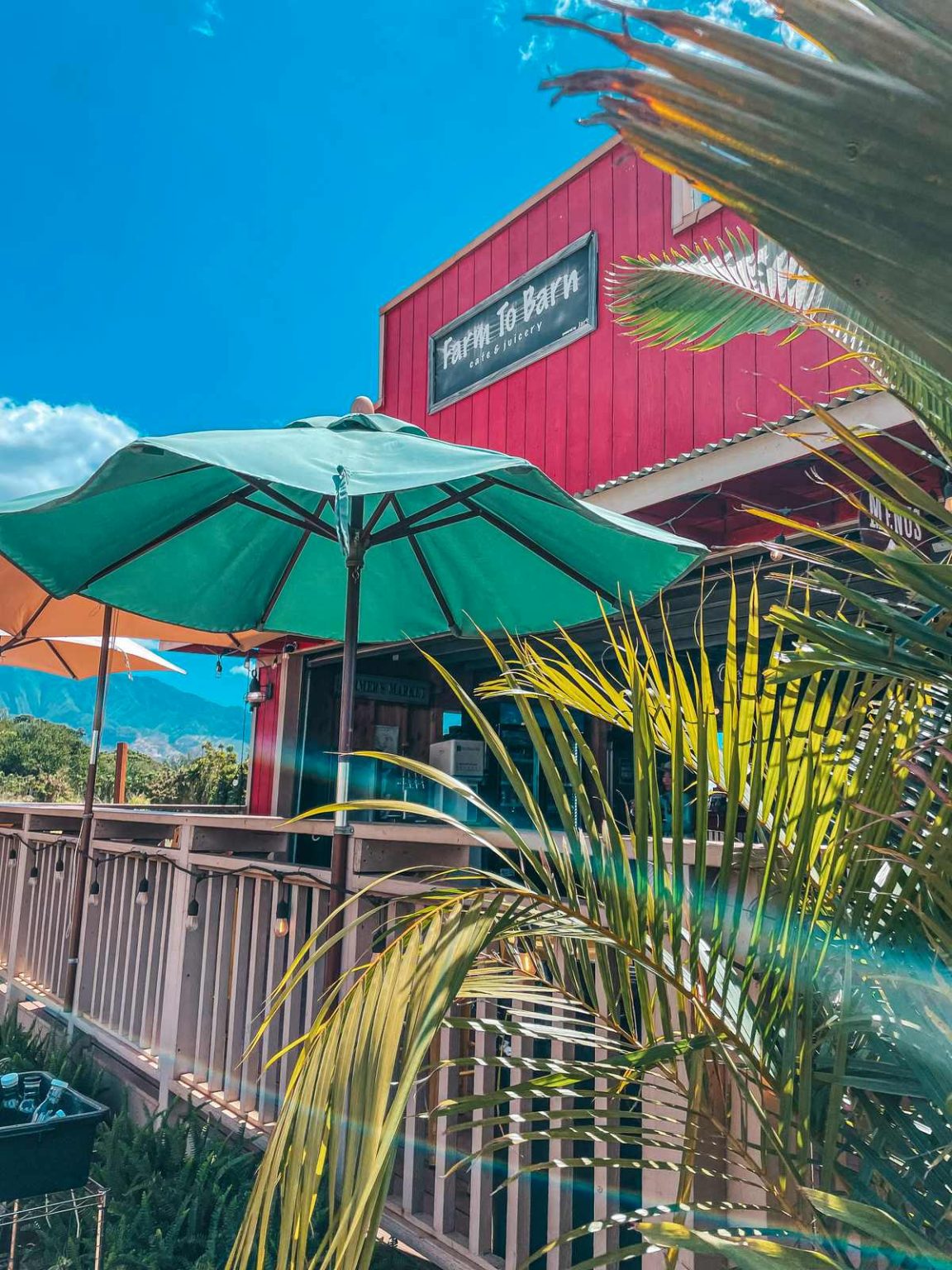 8 Haleiwa Restaurants You Won't Want to Miss on Oahu