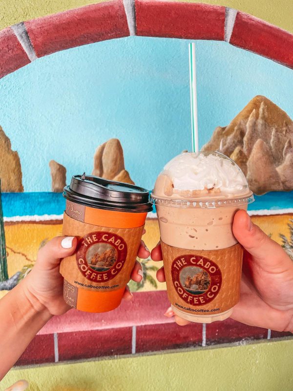 Your Guide to Cabo in December: 10+ EPIC Things to Do in Cabo