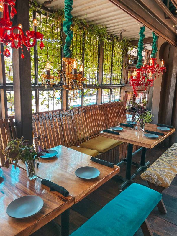 Your Guide to Cabo in December: 10+ EPIC Things to Do in Cabo