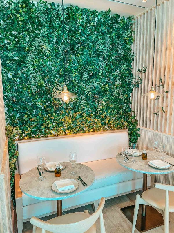 The Tampa EDITION Review: A Luxury Stay in the Heart of the City