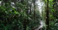 Colombia in July Travel Guide: Festivals, Weather, and More