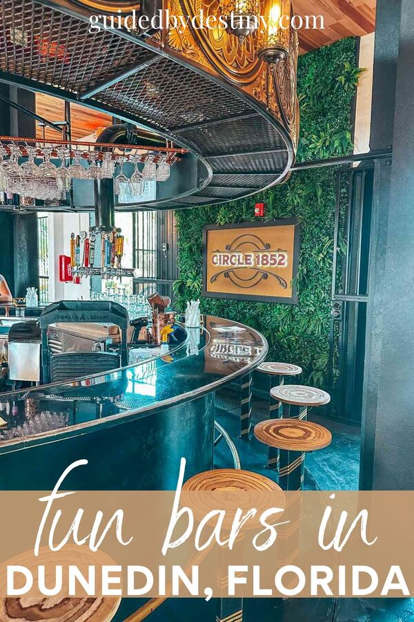 The 8 Best Bars in Dunedin, Florida