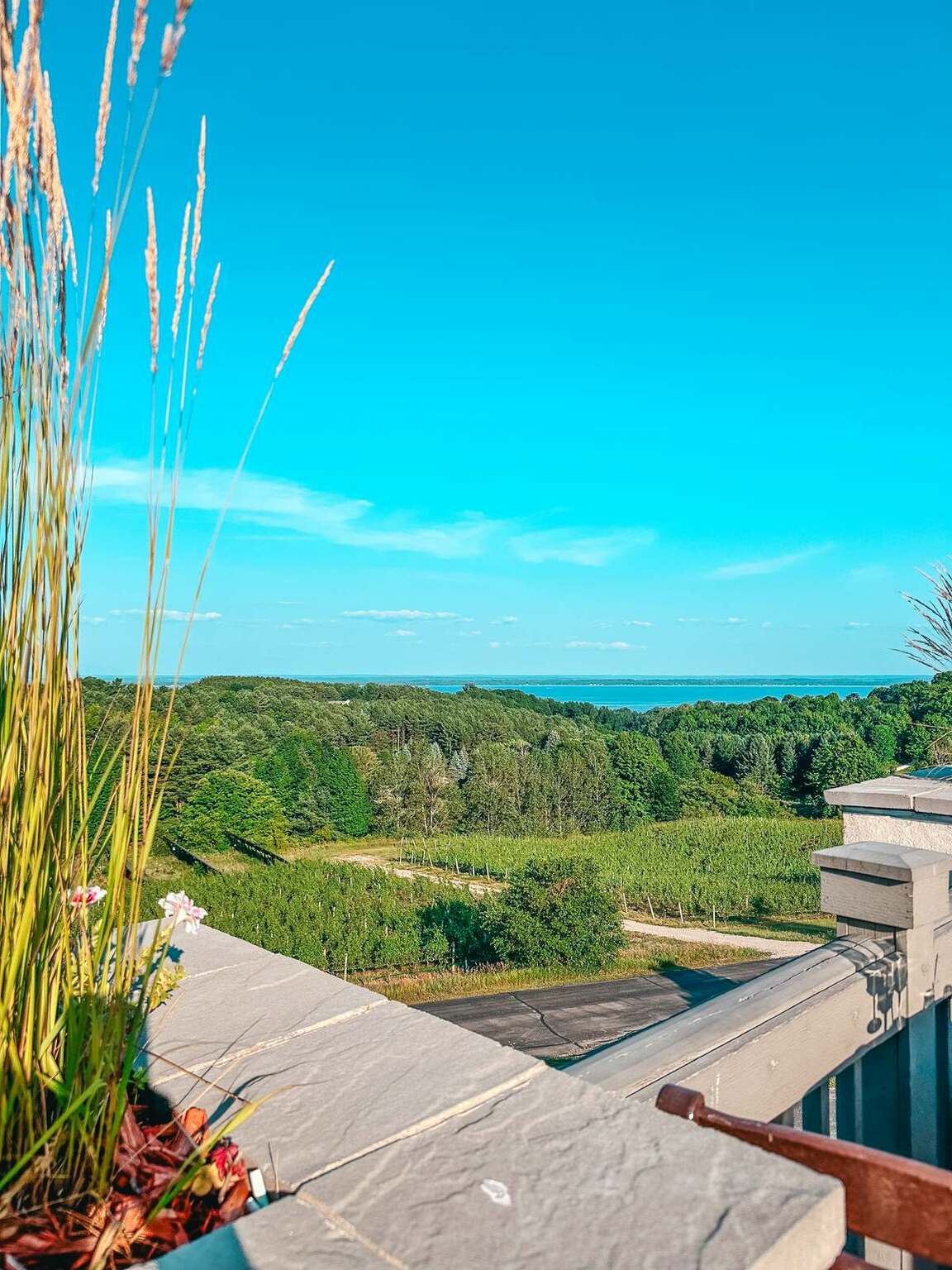 5 Must-Visit Old Mission Peninsula Wineries